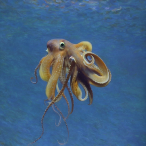 Intelligent Art of Octopus and Artificial Intelligence – Mert Akbal